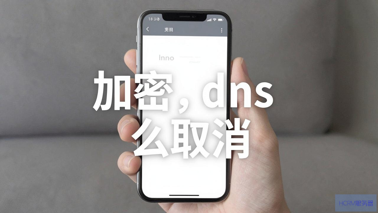手机加密DNS怎么取消？_DNS_HCRM服务器